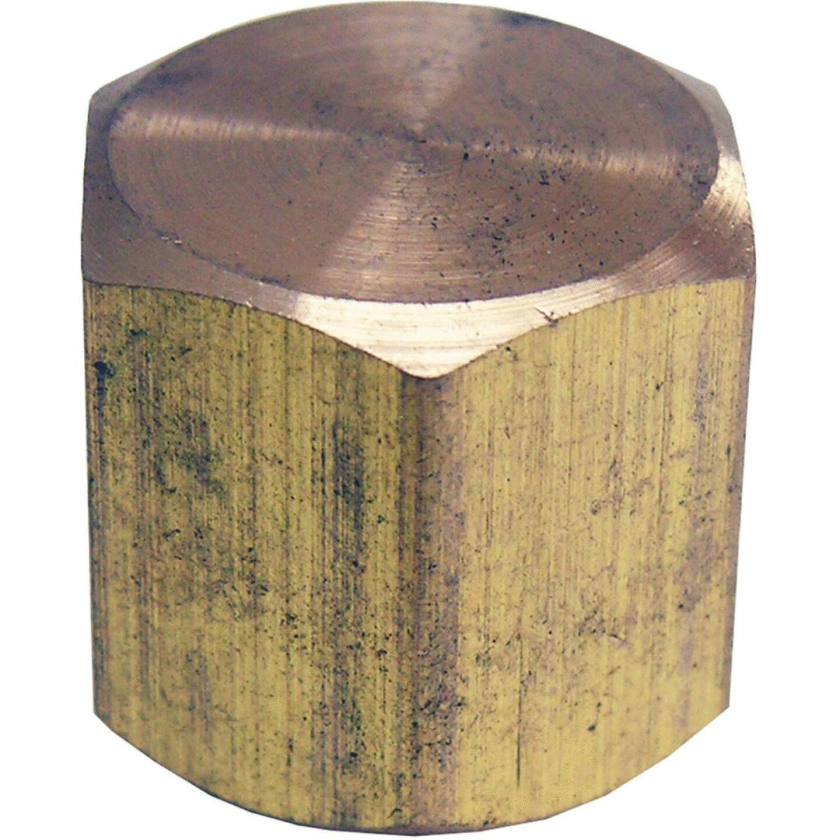 Lasco 1/8 In. Red Brass Threaded Pipe Cap - La Grange, TX - Farmers ...